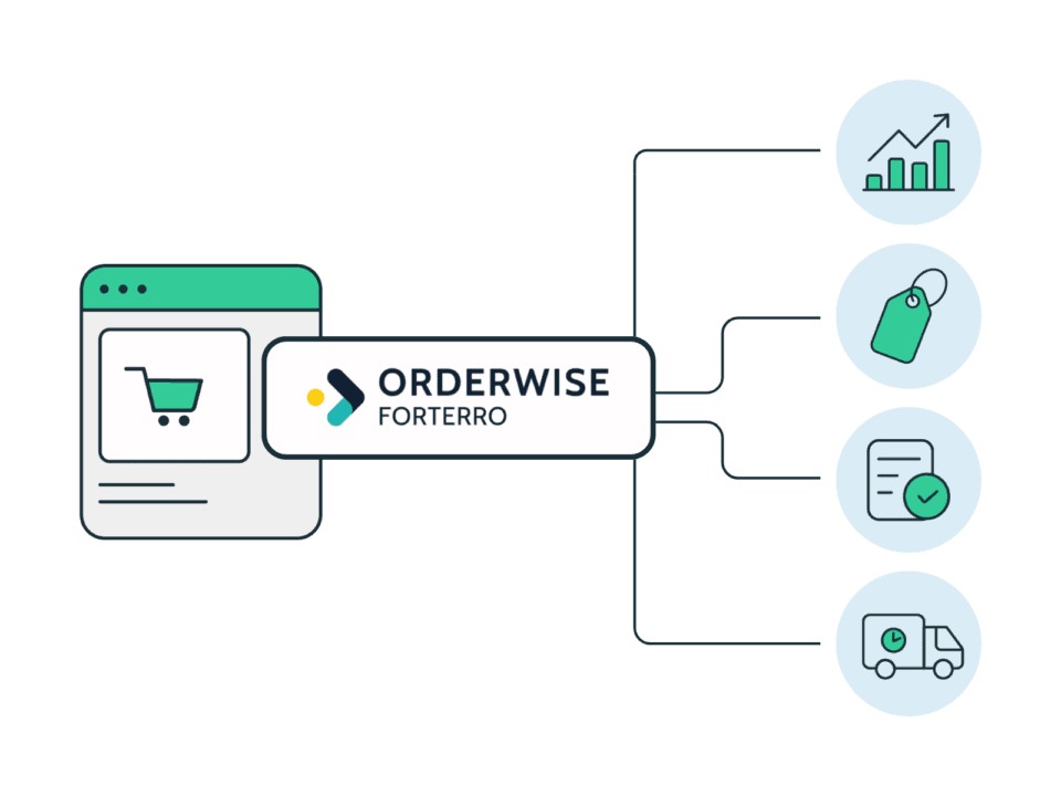 10 Orderwise Powered Features For B2B ECommerce | Rixxo - B2B ECommerce Experts